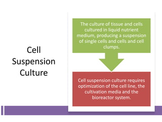 cell Suspension culture | PPTX