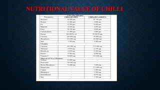 Business Opportunities in Chillie Processing In Andhra Pradesh | PPTX