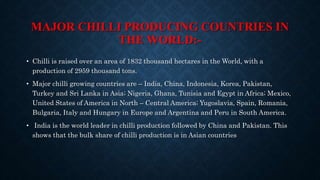 Business Opportunities in Chillie Processing In Andhra Pradesh | PPTX
