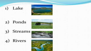 Sources of Water | PPT