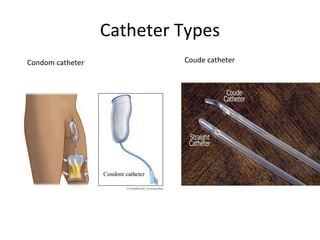 Urinary catheterization Procedure | PPTX
