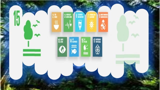 SDG 15 LIFE ON LAND PPT CH 3 | PPTX
