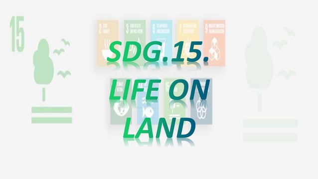 SDG 15 LIFE ON LAND PPT CH 3 | PPT