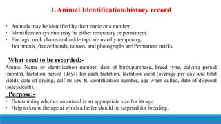 Advances in Record keeping Section in Dairy farm | PPTX