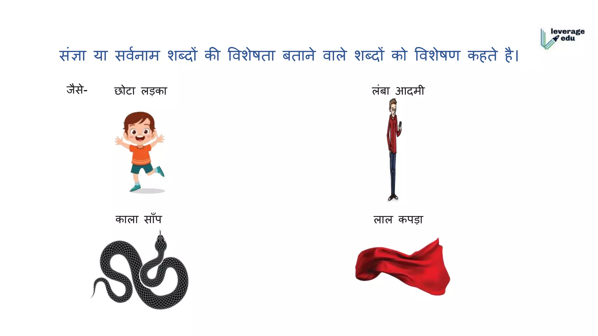 Visheshan in Hindi PPT | PPTX