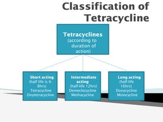 Tetracyclines | PPT
