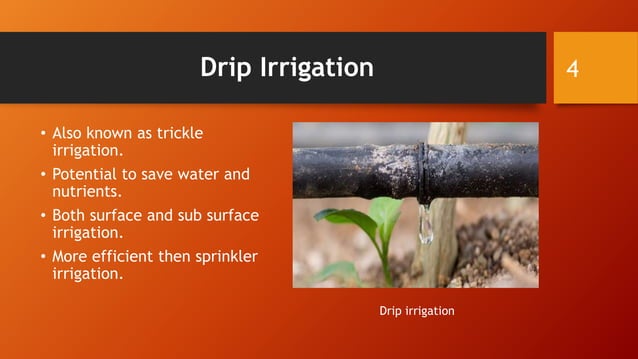 Drip Irrigation | PPT