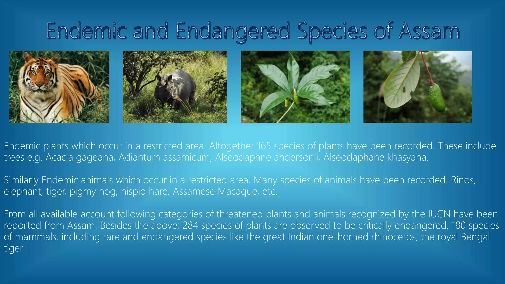 Art Integrated Project on Forest and Wildlife of Assam and Rajasthan | PPTX
