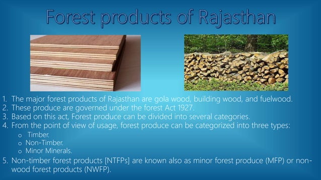 Art Integrated Project on Forest and Wildlife of Assam and Rajasthan | PPTX