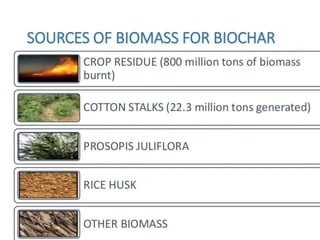 Biochar and its use in plant disease management | PPTX