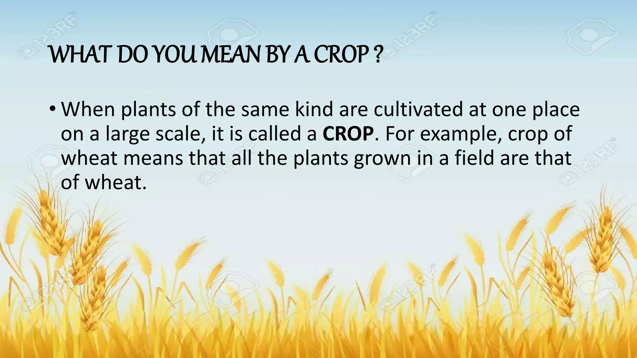 CLASS 8 CHAPTER 1 PPT | PPTX