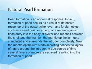 Pearl culture and pearl industry.pptx