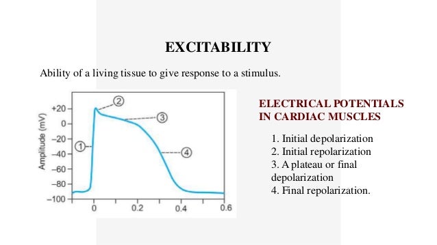 Introduction to cardiovascular system | PPTX