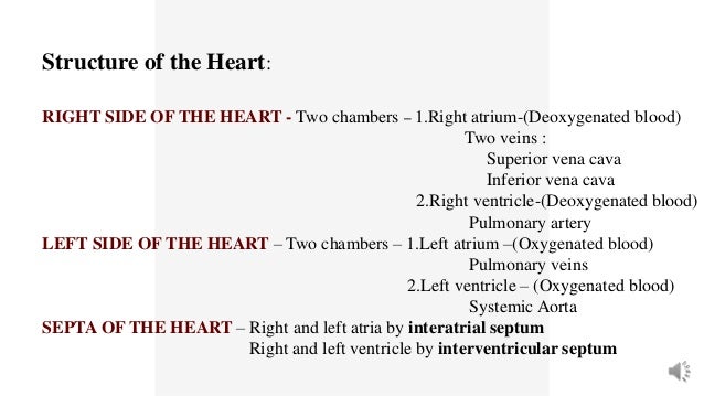 Introduction to cardiovascular system | PPTX