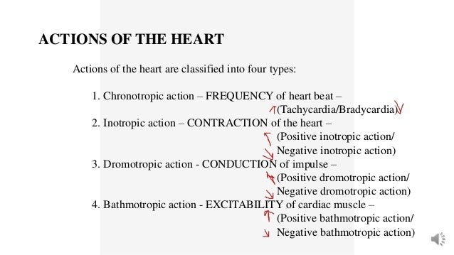Introduction to cardiovascular system | PPTX