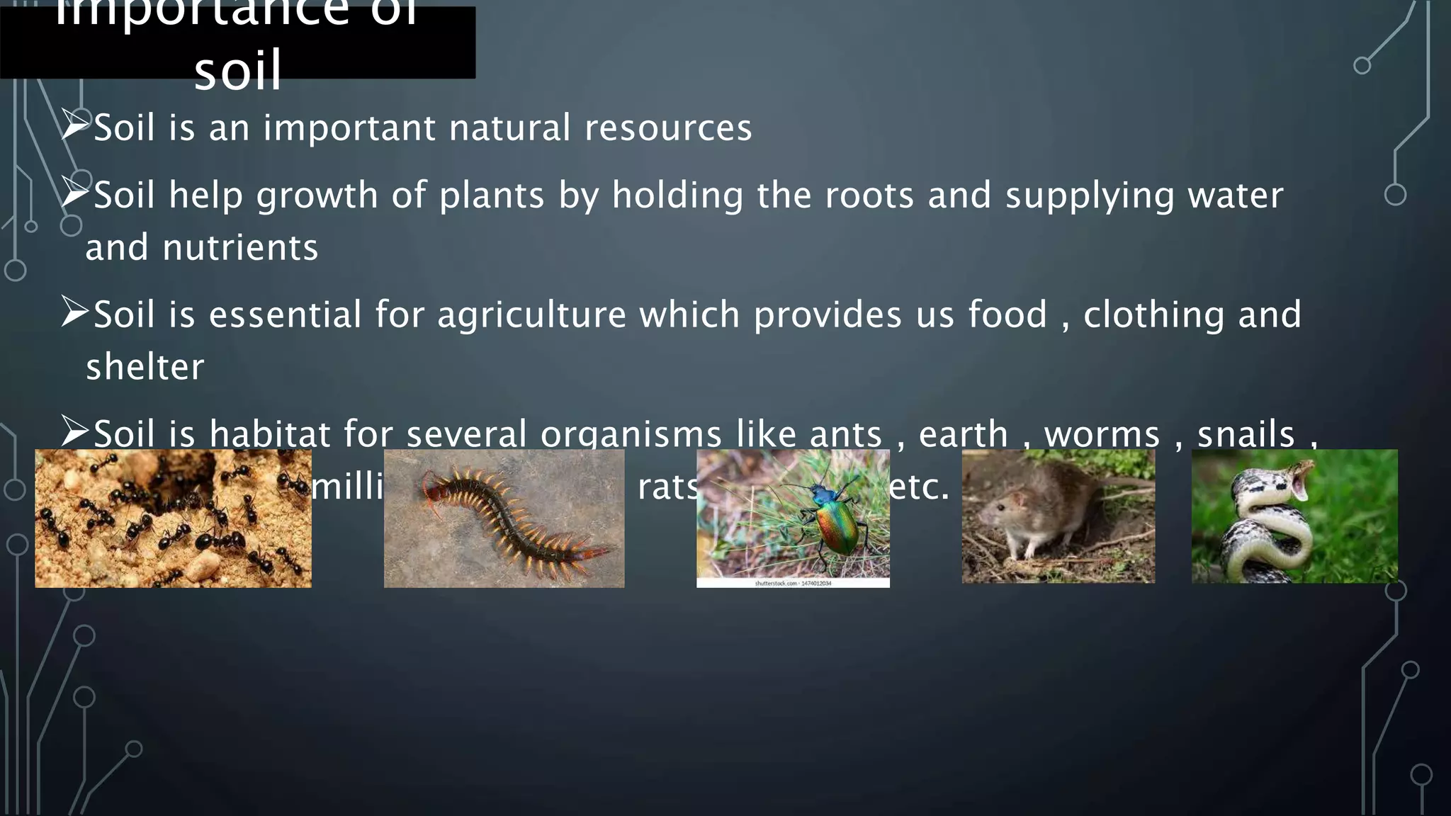 soil class 7 | PPT