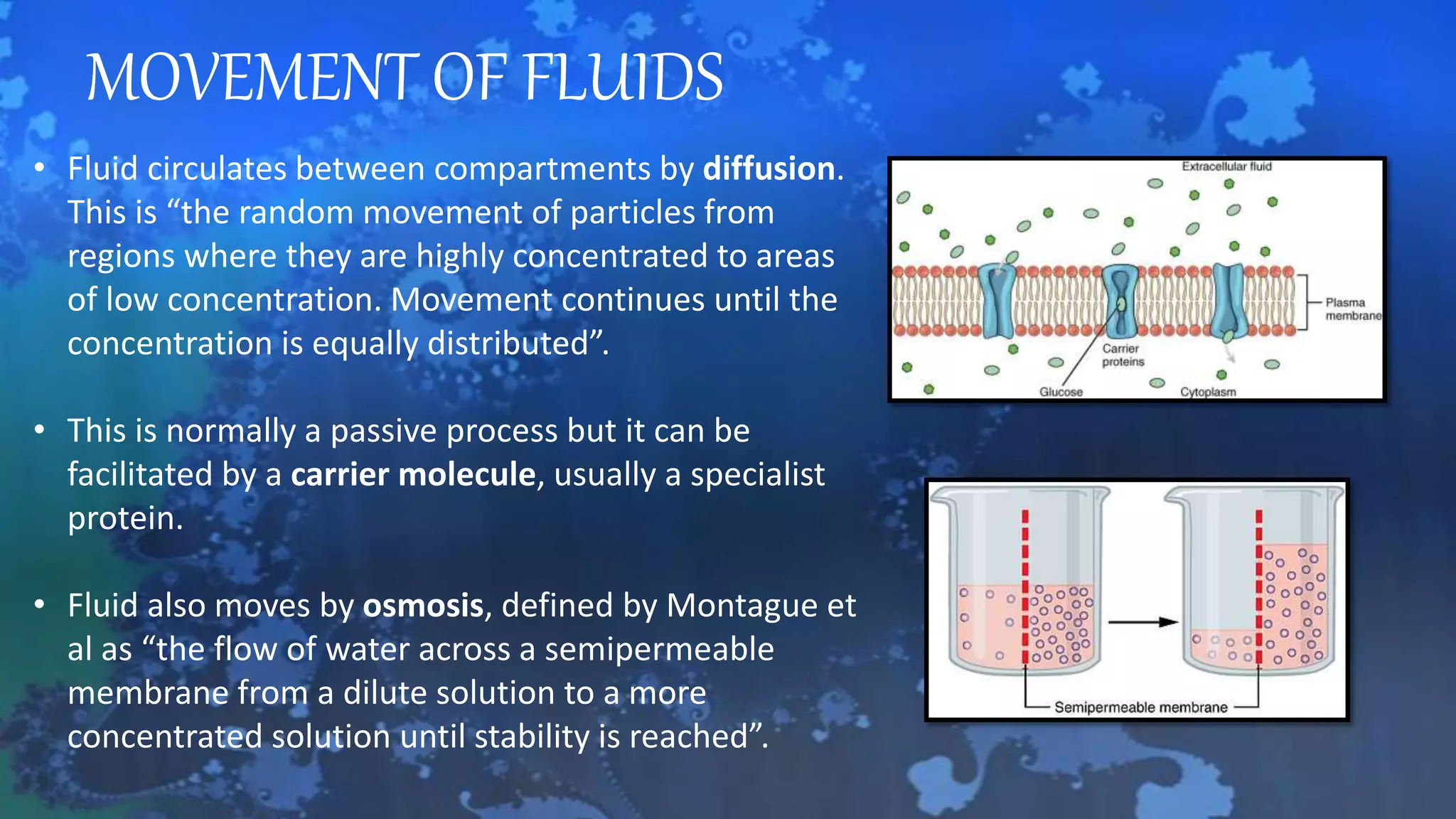 fluid balance | PPTX