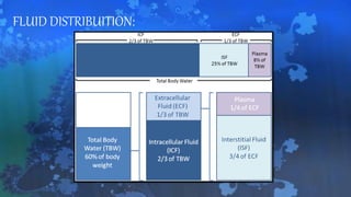 fluid balance | PPTX