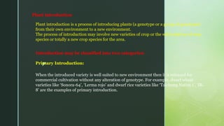 Presentation (1).pptx