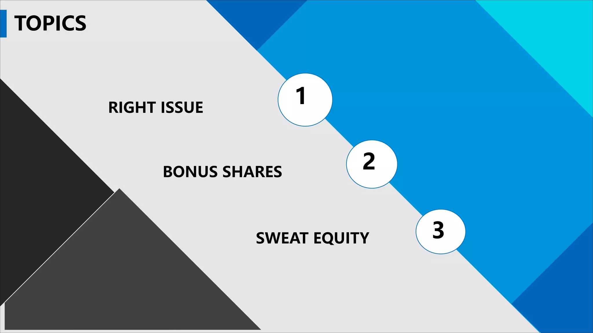 BONUS SHARES, RIGHT ISSUE and SWEAT EQUITY | PDF