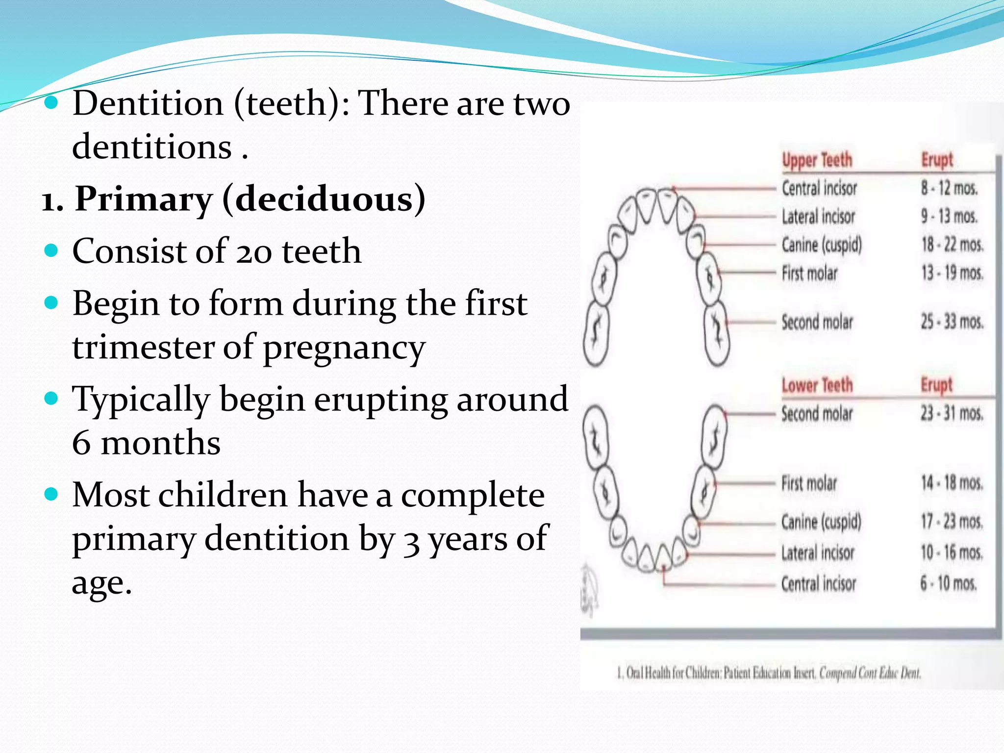 Normal anatomy of tooth (coronal & radicular ) .pptx