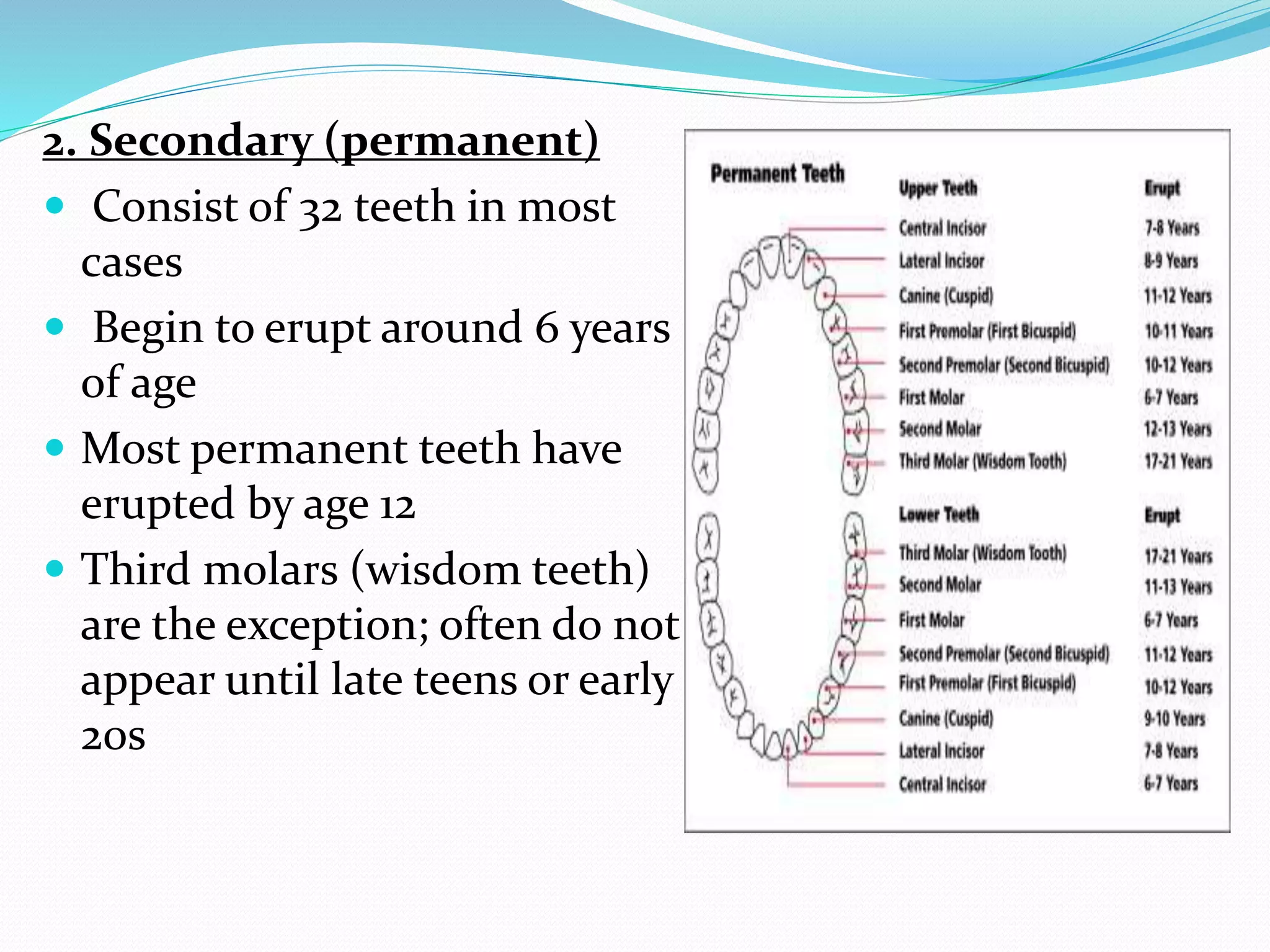 Normal anatomy of tooth (coronal & radicular ) .pptx