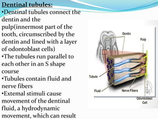 Normal anatomy of tooth (coronal & radicular ) .pptx