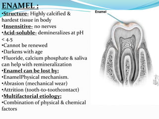 Normal anatomy of tooth (coronal & radicular ) .pptx
