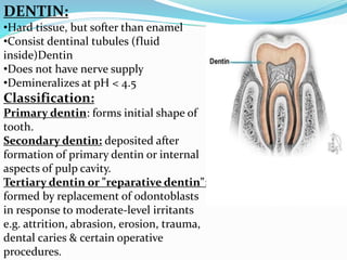 Normal anatomy of tooth (coronal & radicular ) .pptx
