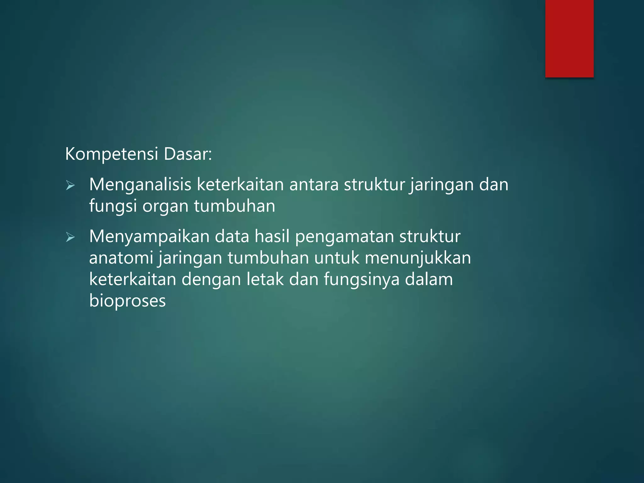 fungsi jaringan ada tumbuhan.pptx