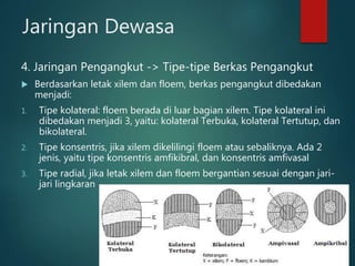 fungsi jaringan ada tumbuhan.pptx