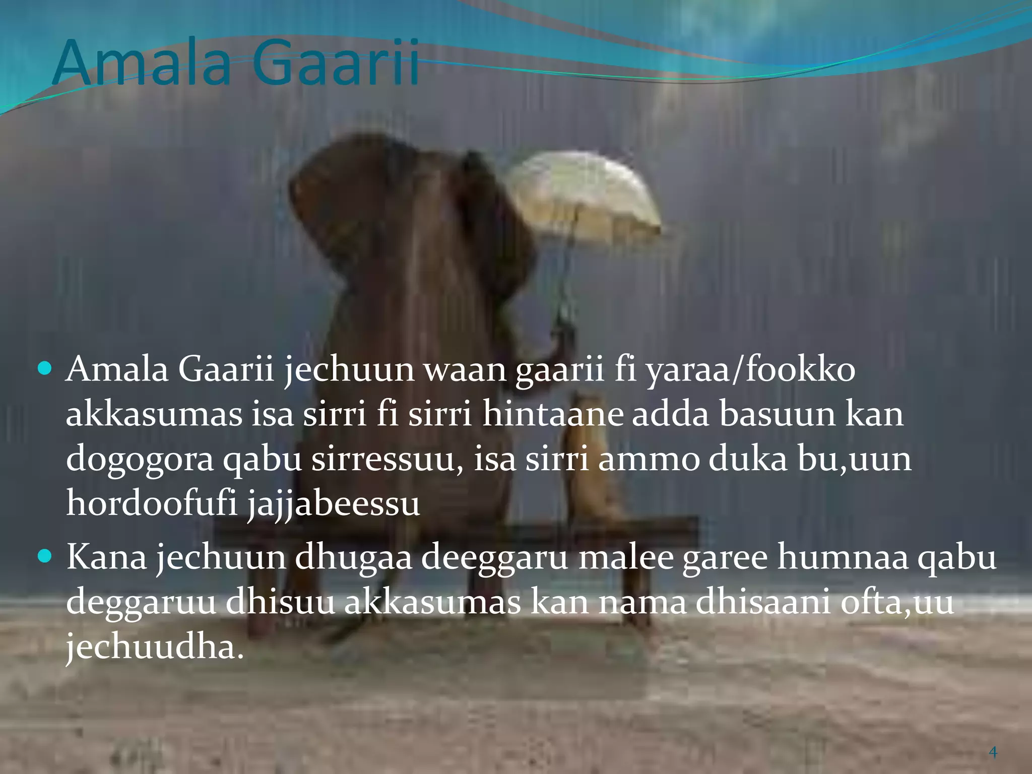 Ogummaa malleen jireenyaa | PPTX