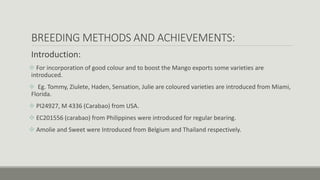 CROP IMPROVEMENT IN MANGO | PPTX