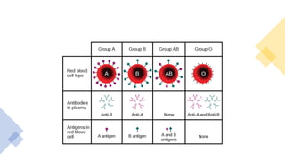 rh isoimmunization.pdf