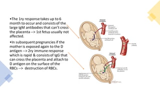 rh isoimmunization.pdf