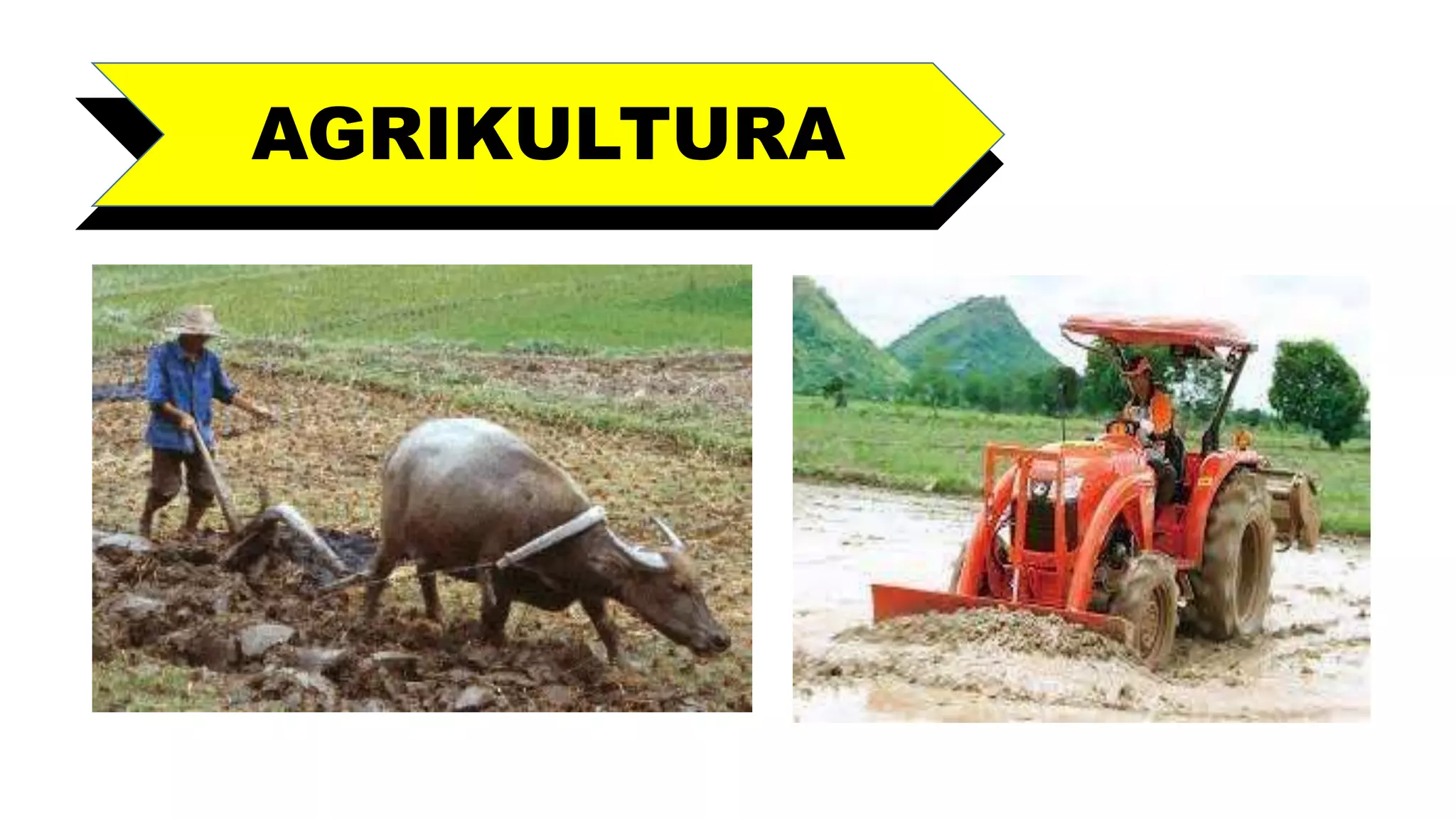 Presentation1.pptx-FINAL (1).pptx