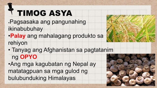 Presentation1.pptx-FINAL (1).pptx