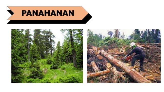 Presentation1.pptx-FINAL (1).pptx