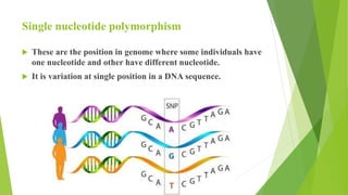 Polymorphism affecting drug metabolism | PPTX