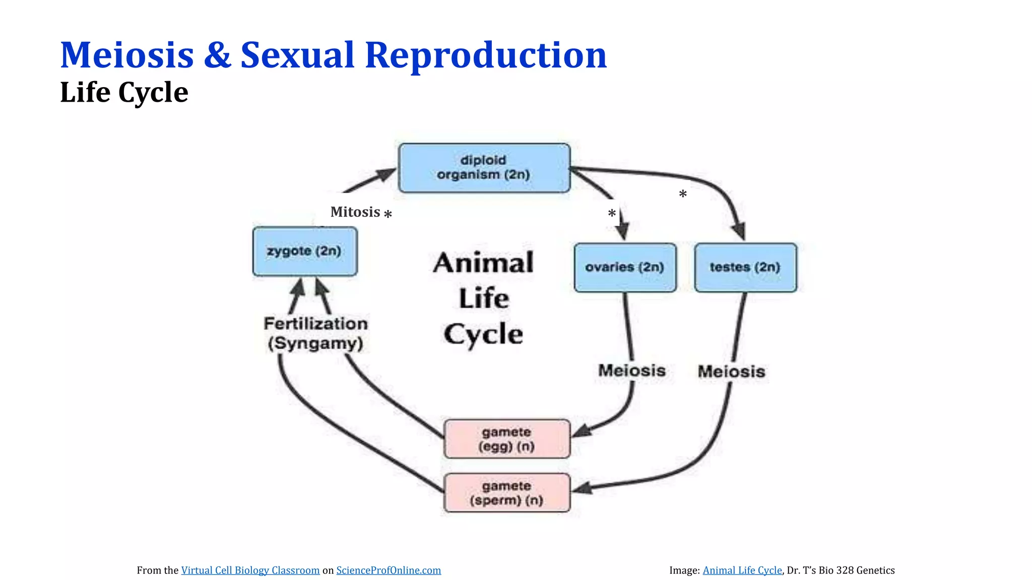 Presentation1 Pptx