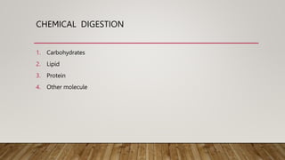 Presentation (1).pptx