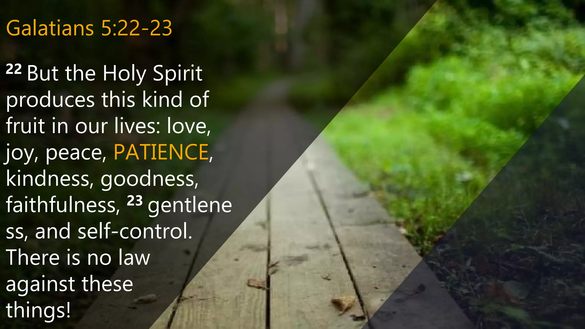 Fruit of the Spirit: Patience | PPTX