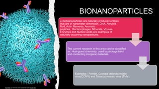 Presentation (1).pptx
