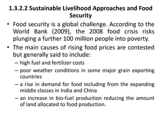 Sustainable livelihoods | PPTX