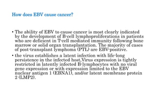 EBV and carcinogenesis.pptx