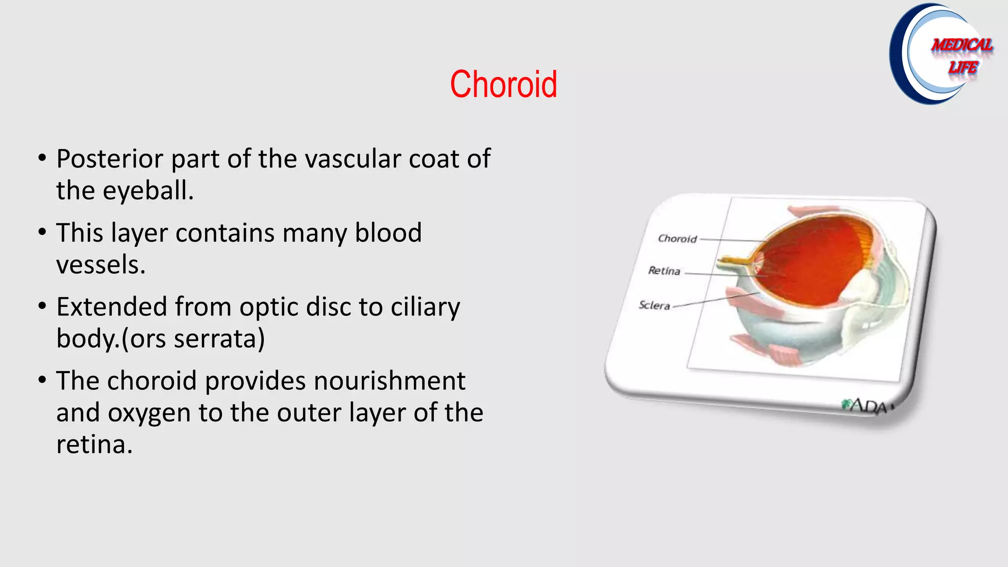 anatomy of the eyeball | PPTX
