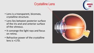 anatomy of the eyeball | PPTX