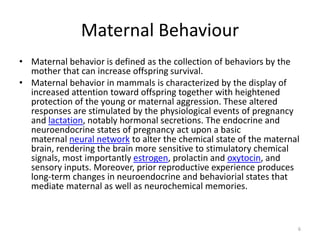 Effects of maternal behavior on featus | PPTX