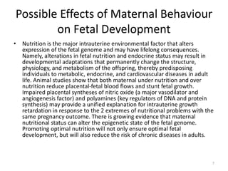 Effects of maternal behavior on featus | PPTX