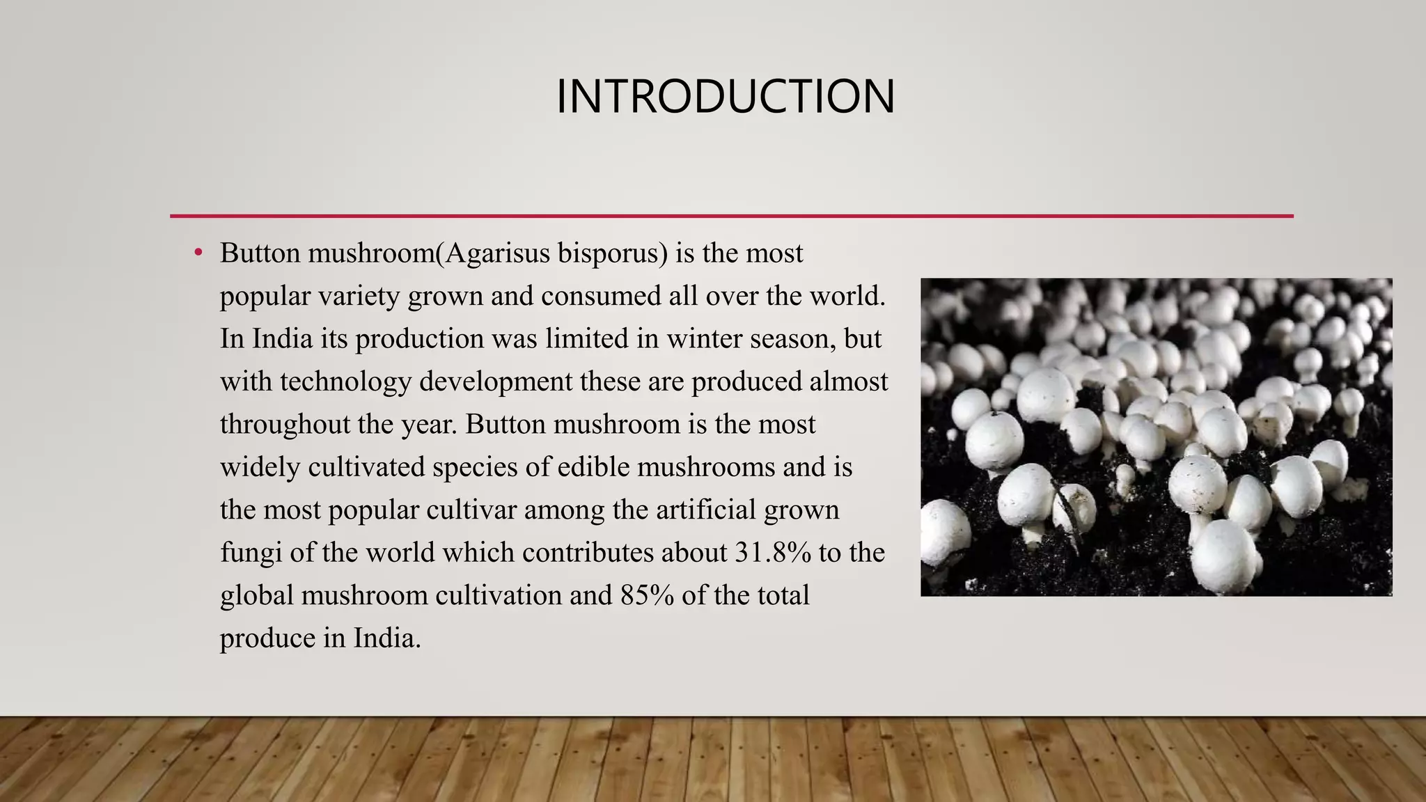 Presentation (1).pptx